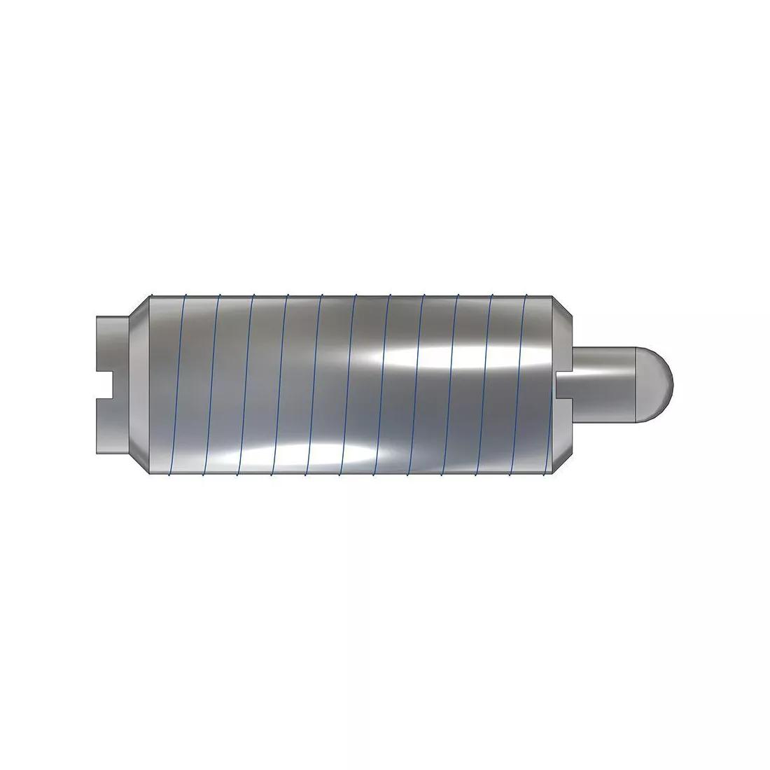 Buy Threaded Spring Plungers | NSP-17N | Reid Supply